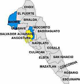 Organizaci n Electoral